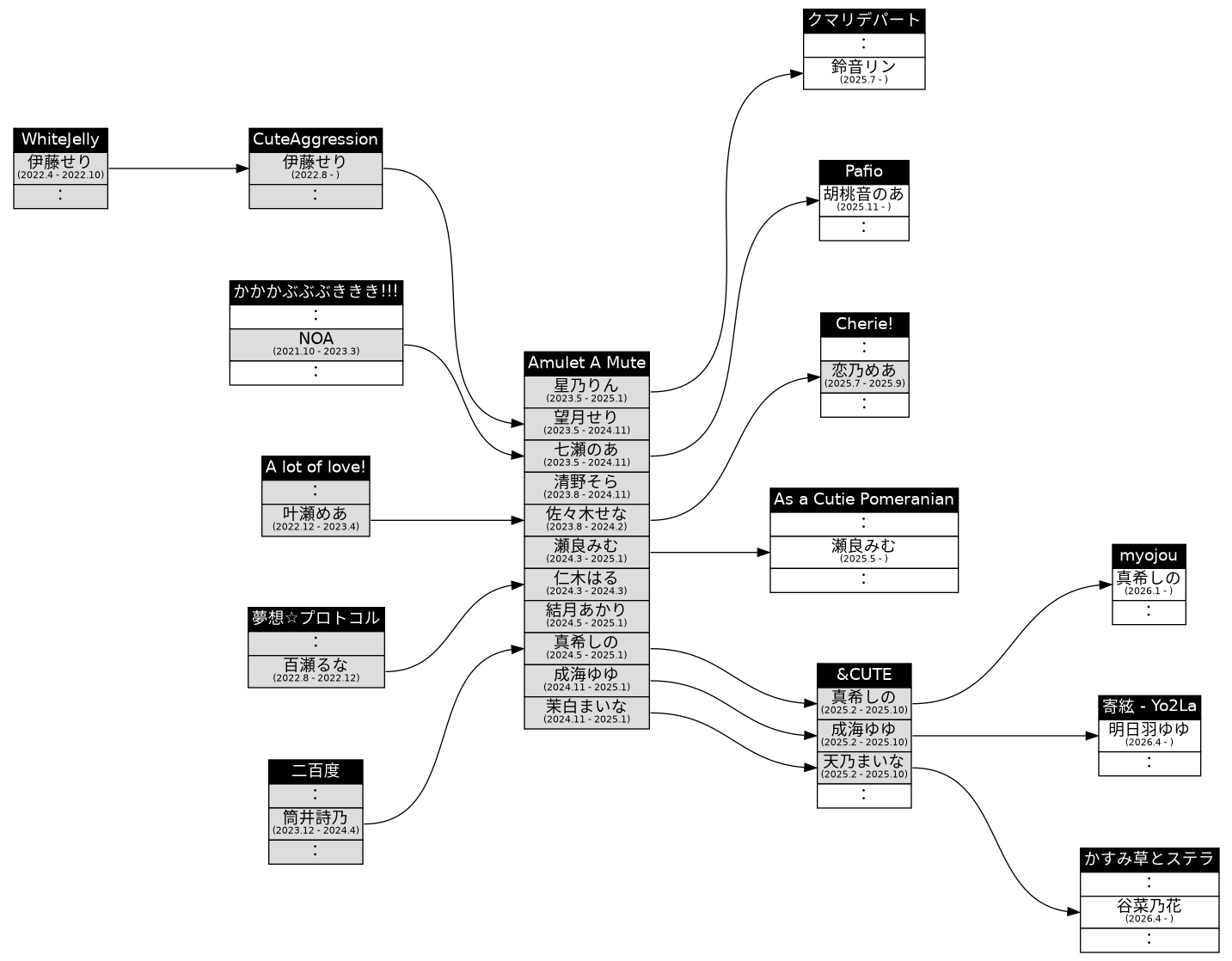 IDOLS DIAGRAM | Amulet A Mute
