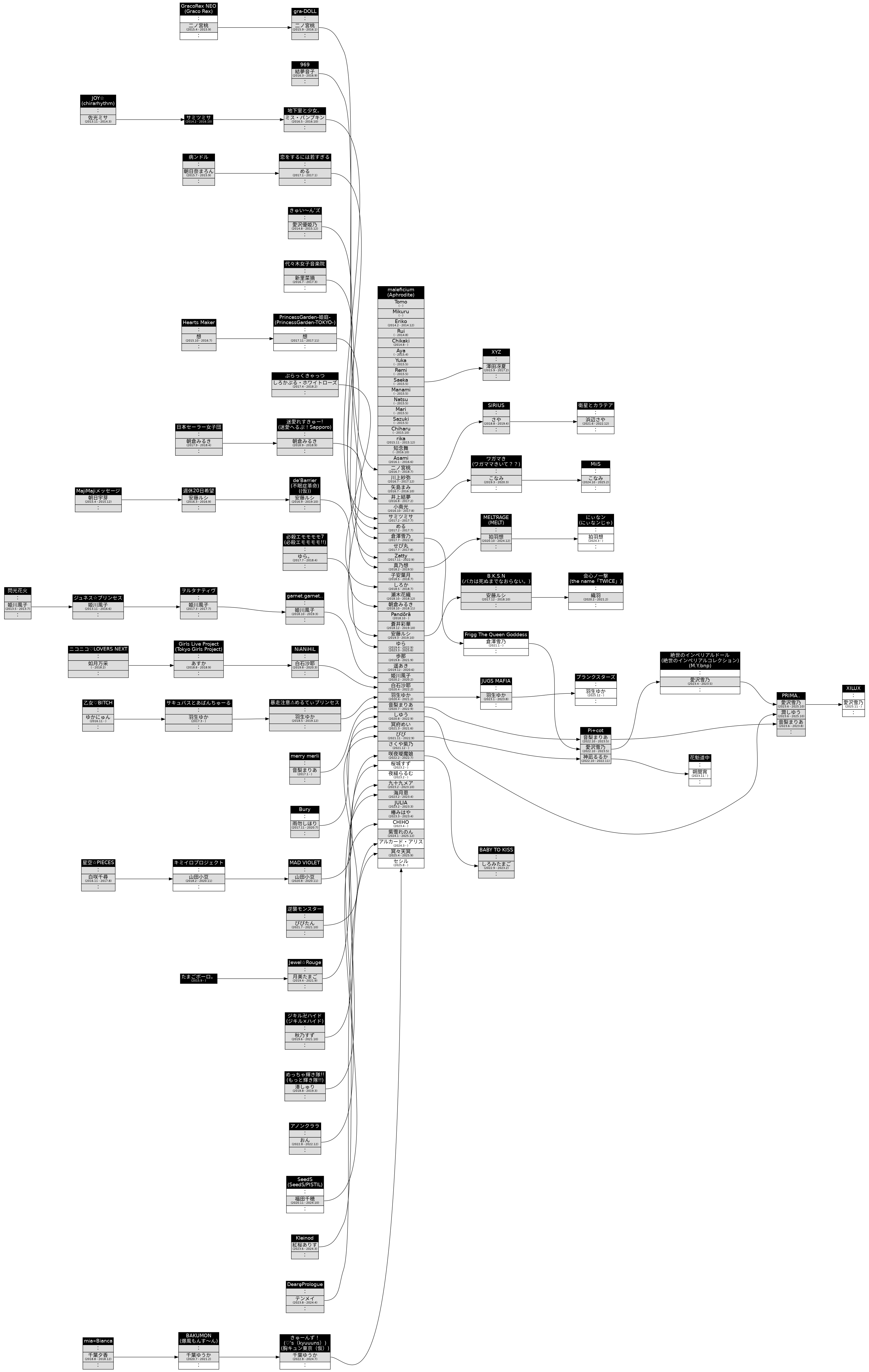 IDOLS DIAGRAM | maleficium